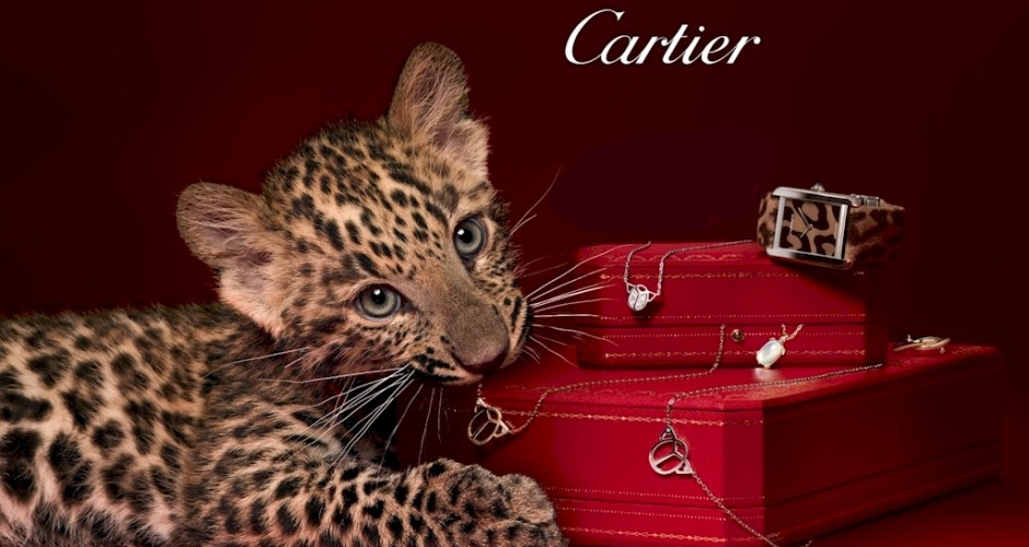 La Montre Cartier ～VOL.7 - THREEC | ウブロ,オメガ,カルティエ,タグホイヤー,ブライトリングなど高級時計やメガネなどの正規代理店です。 | THREEC ...