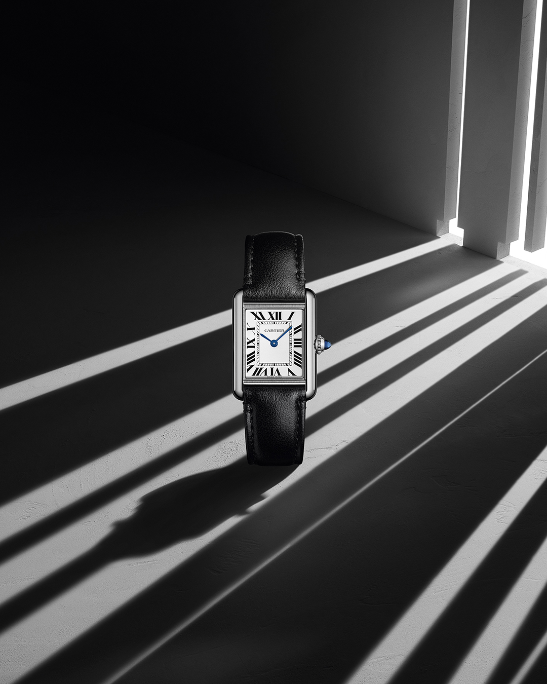 カルティエ 2021年 新作情報 VOL.1 - THREEC | ウブロ,オメガ,カルティエ,タグホイヤー,ブライトリングなど高級時計やメガネなどの正規代理店です。 | THREEC ...